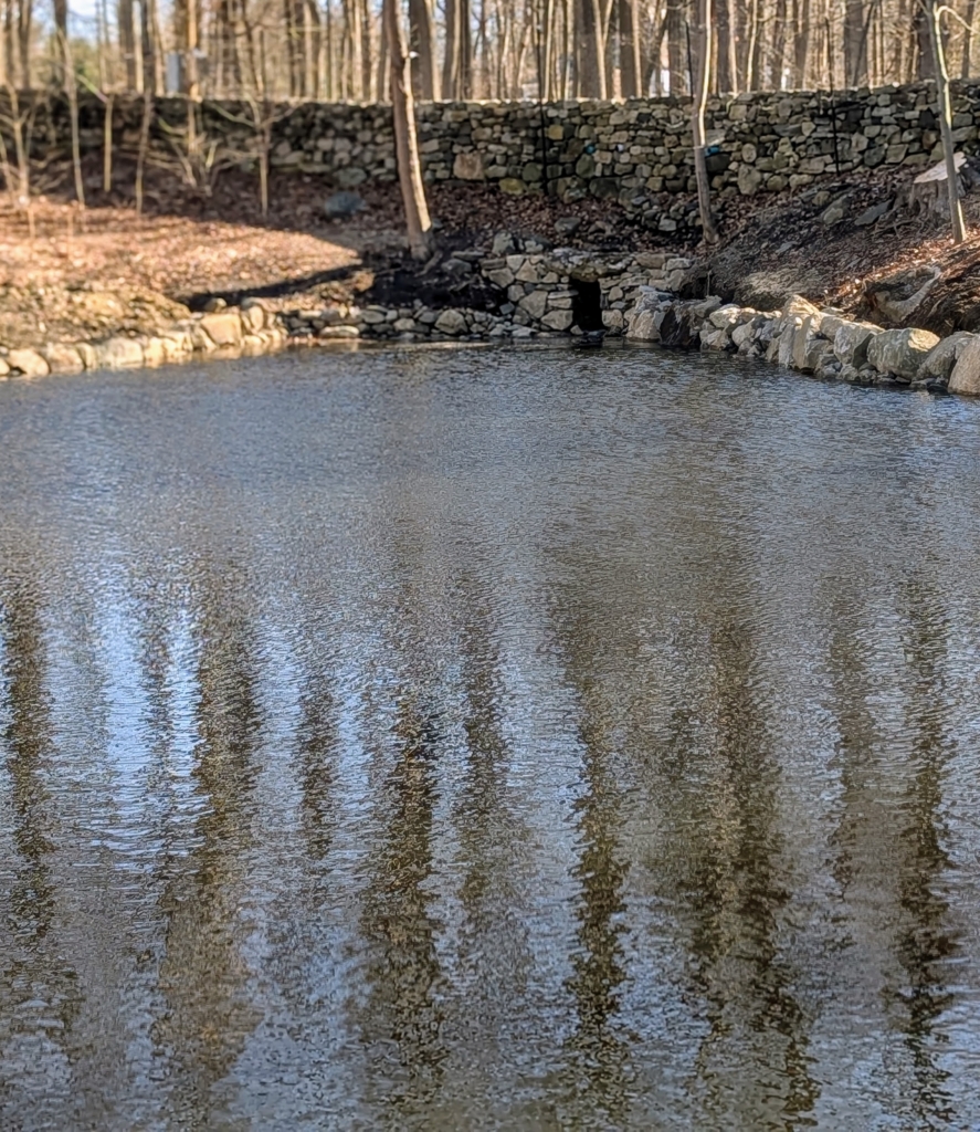 Creating My Pond Garden - The Martha Stewart Blog