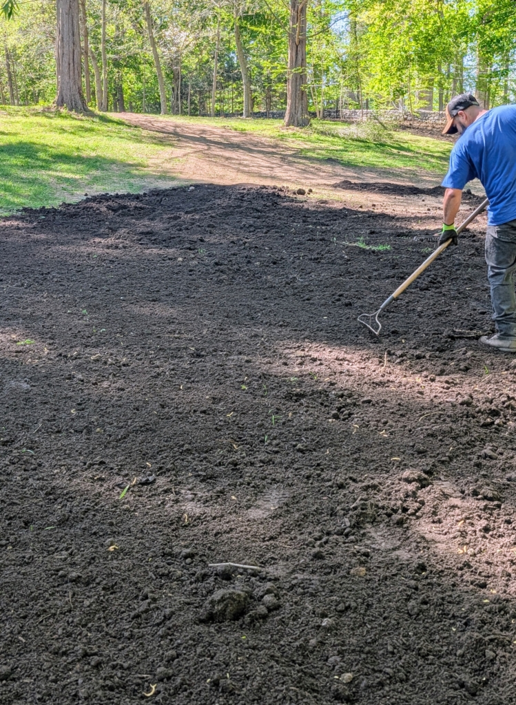 Creating My Pond Garden - The Martha Stewart Blog