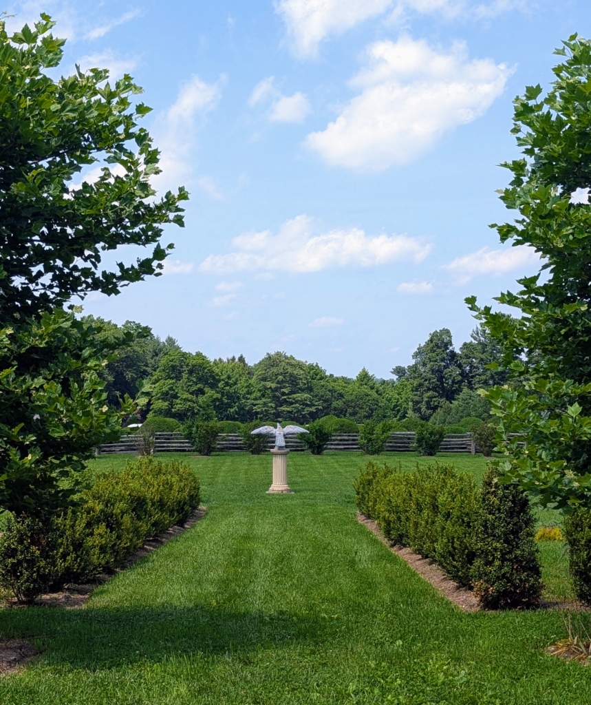 The Martha Stewart Blog : Blog Archive Pruning and Grooming My Maze ...