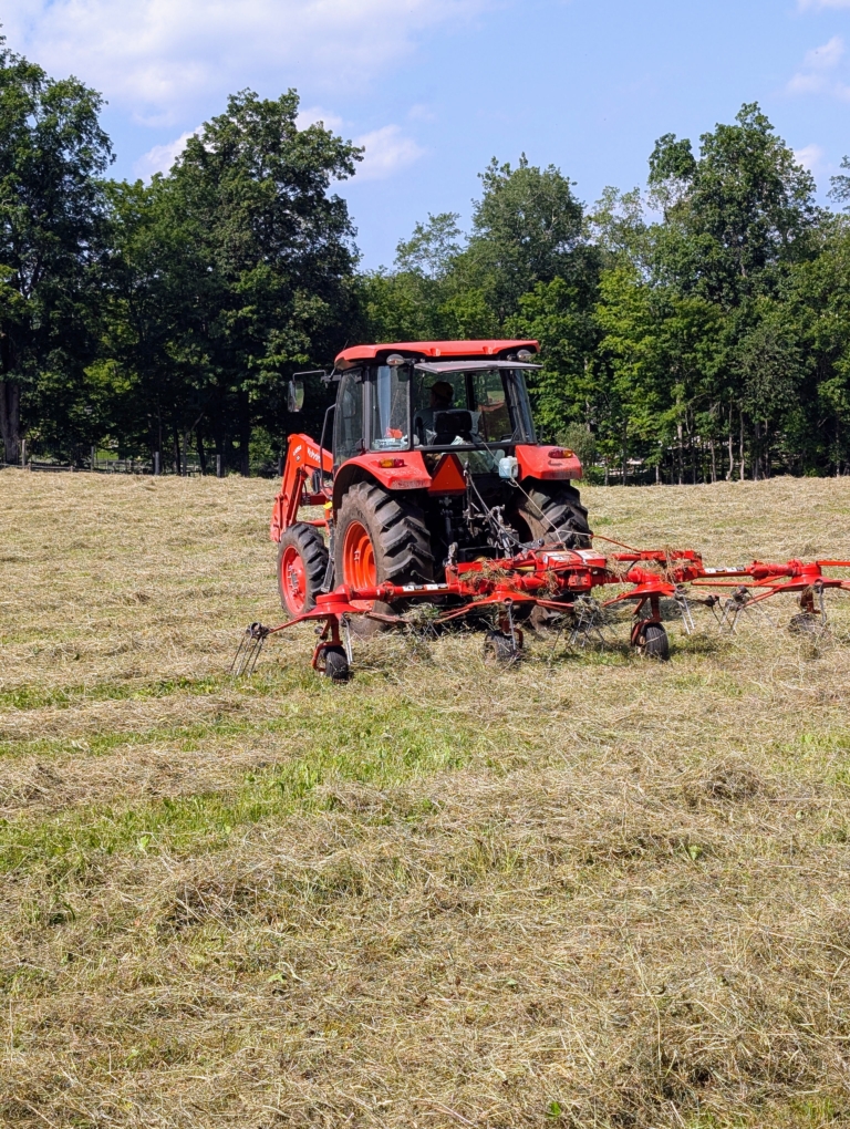 My First Cut of Hay 2025 - The Martha Stewart Blog