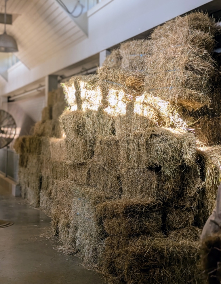My First Cut of Hay 2025 - The Martha Stewart Blog