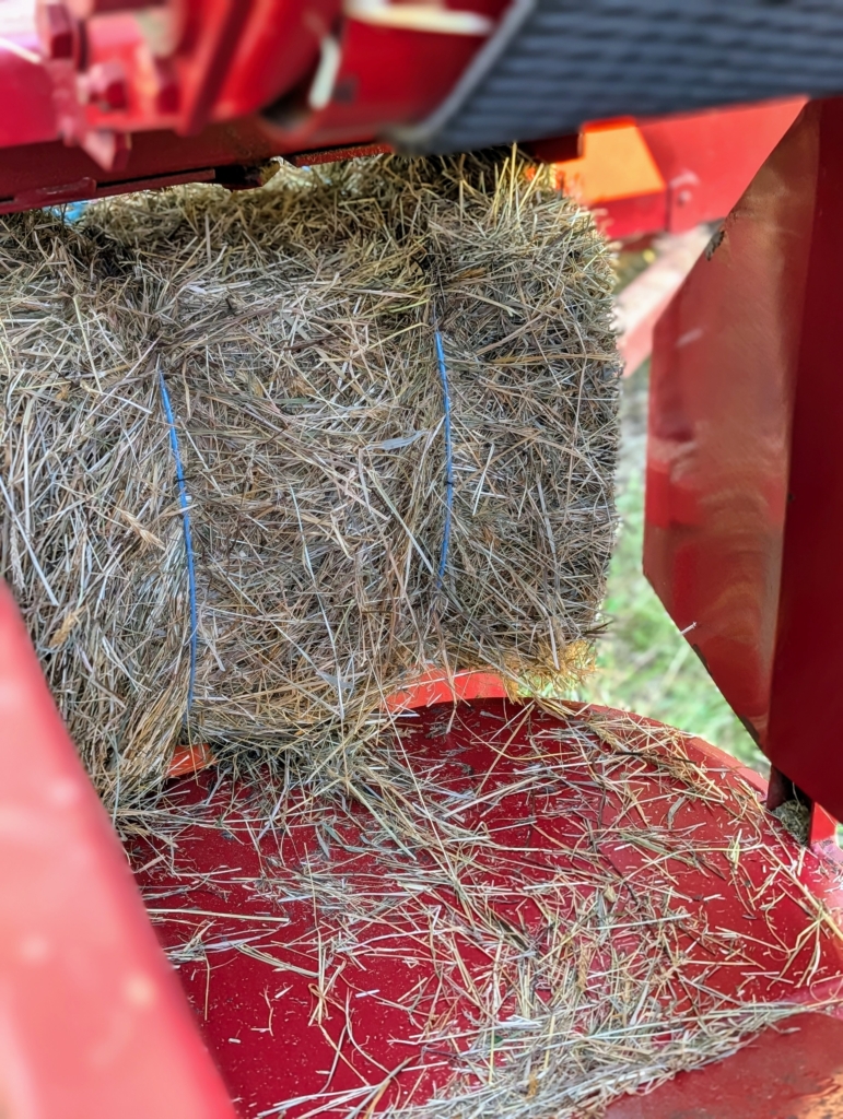 My First Cut of Hay 2025 - The Martha Stewart Blog