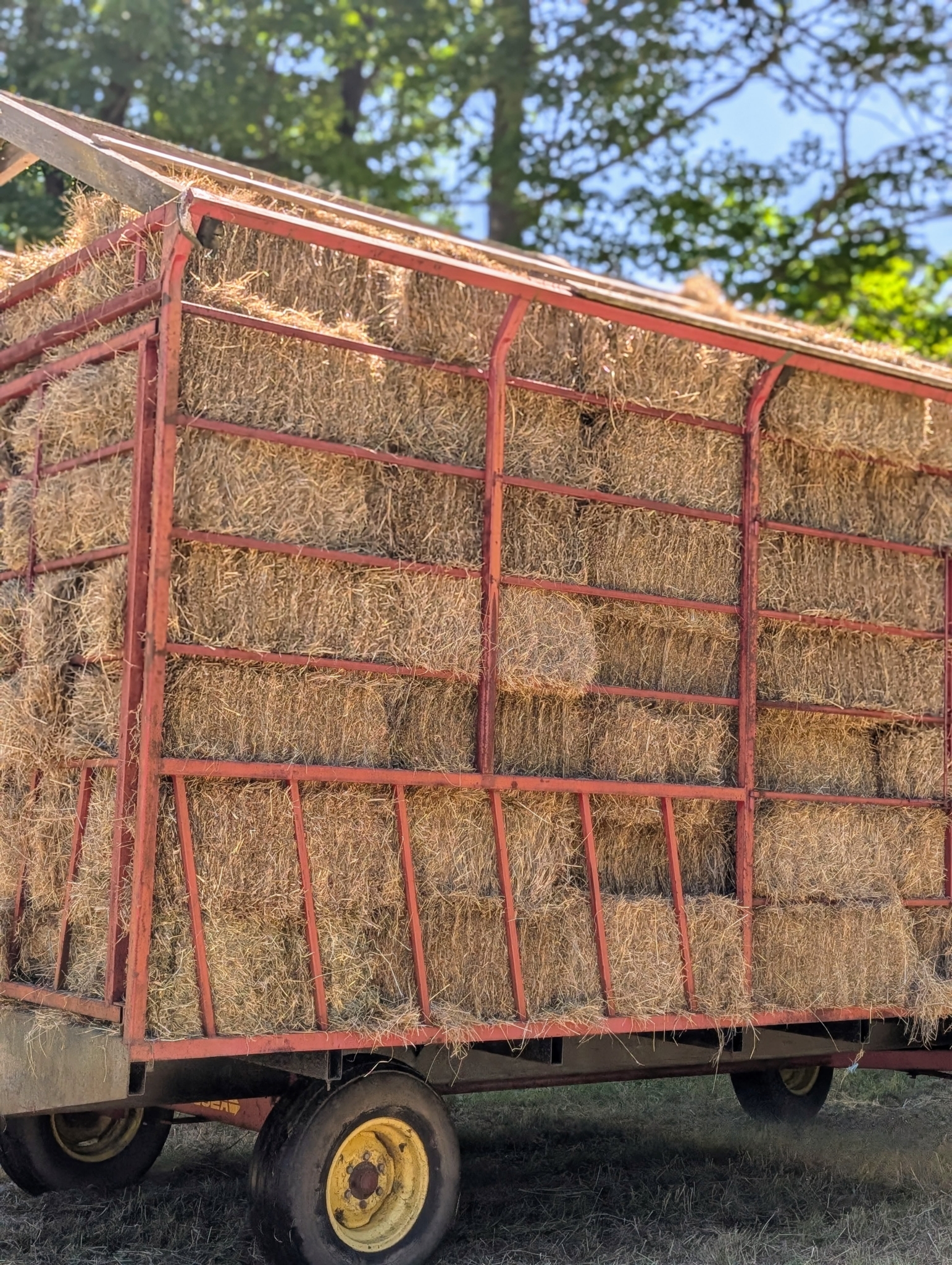My First Cut of Hay 2025 - The Martha Stewart Blog