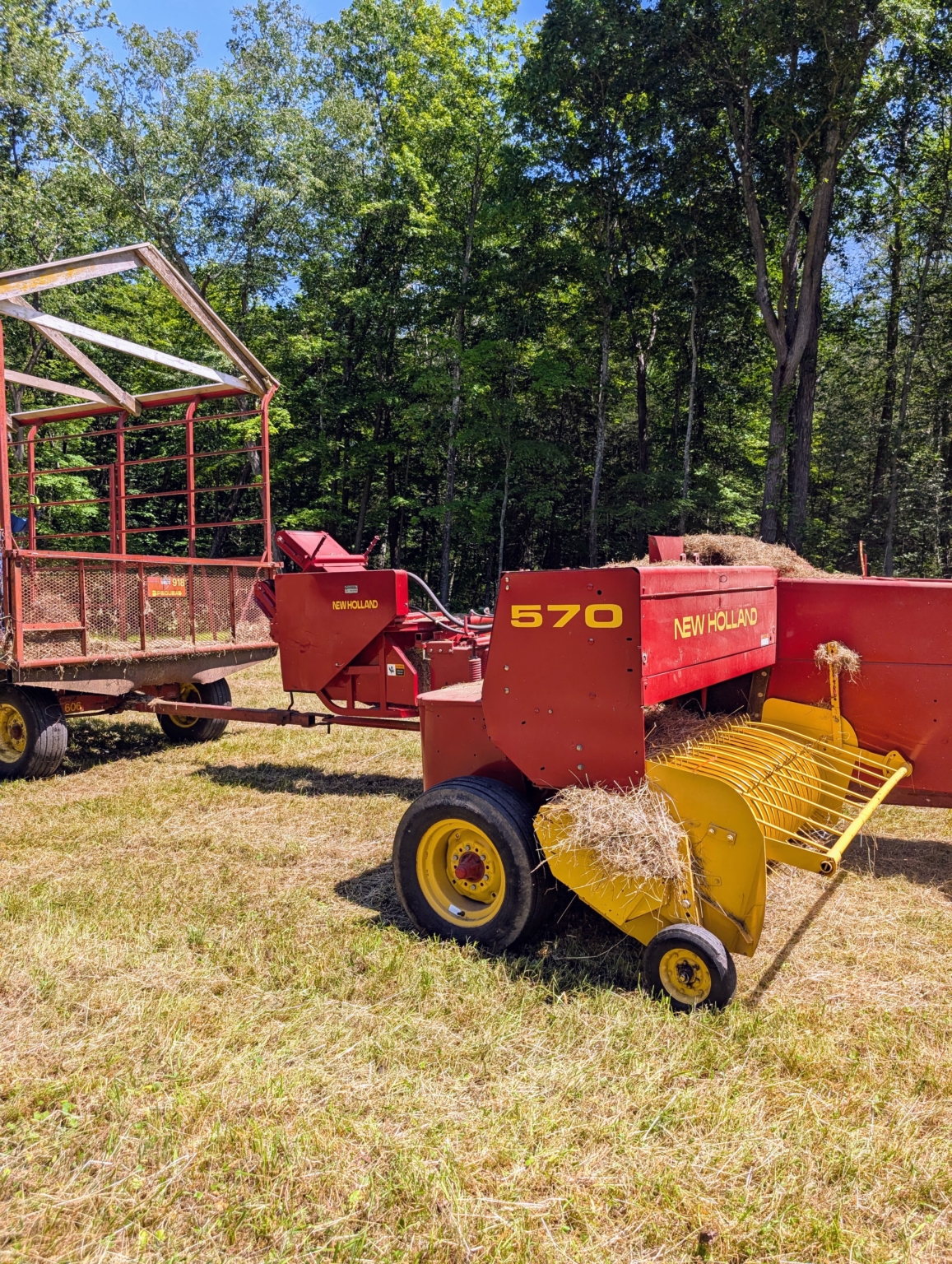 My First Cut of Hay 2025 - The Martha Stewart Blog