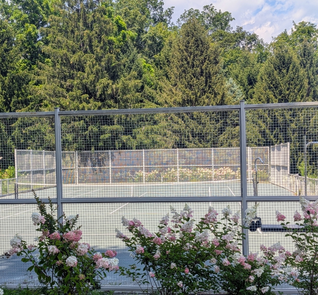 The Martha Stewart Blog : Blog Archive My Tennis Court Hydrangeas One ...