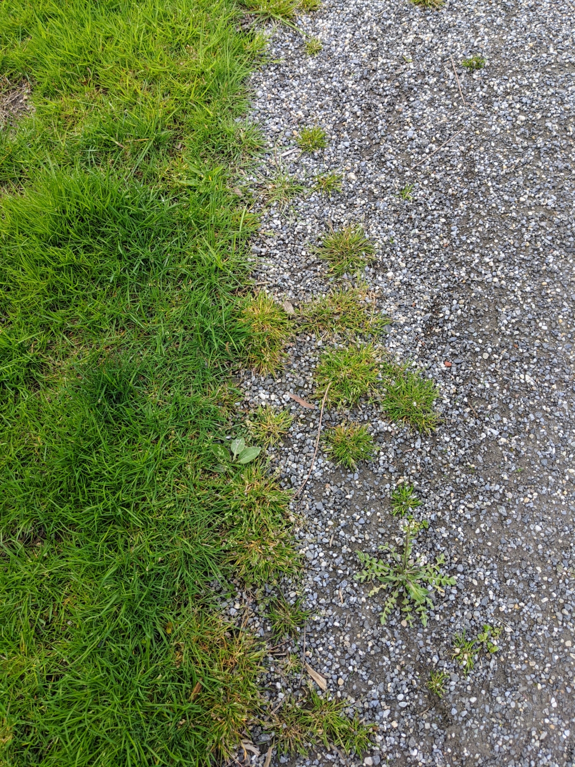 Edging My Carriage Roads - The Martha Stewart Blog