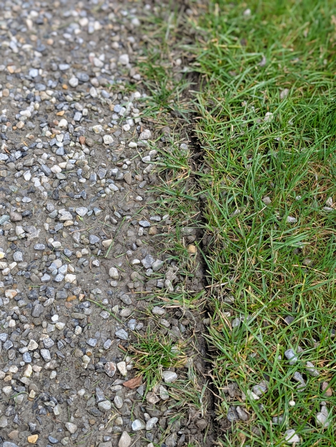 Edging My Carriage Roads - The Martha Stewart Blog
