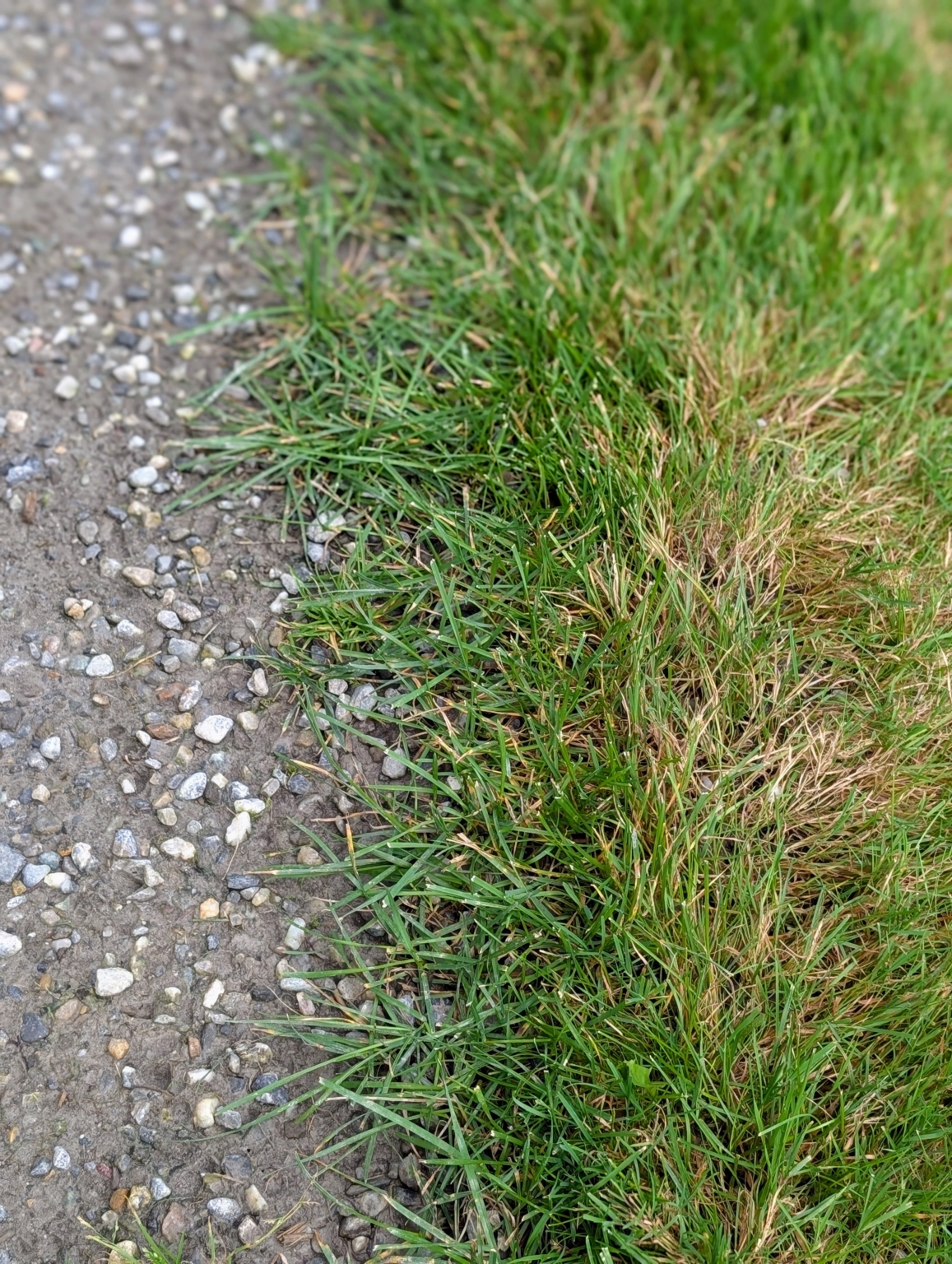 Edging My Carriage Roads - The Martha Stewart Blog