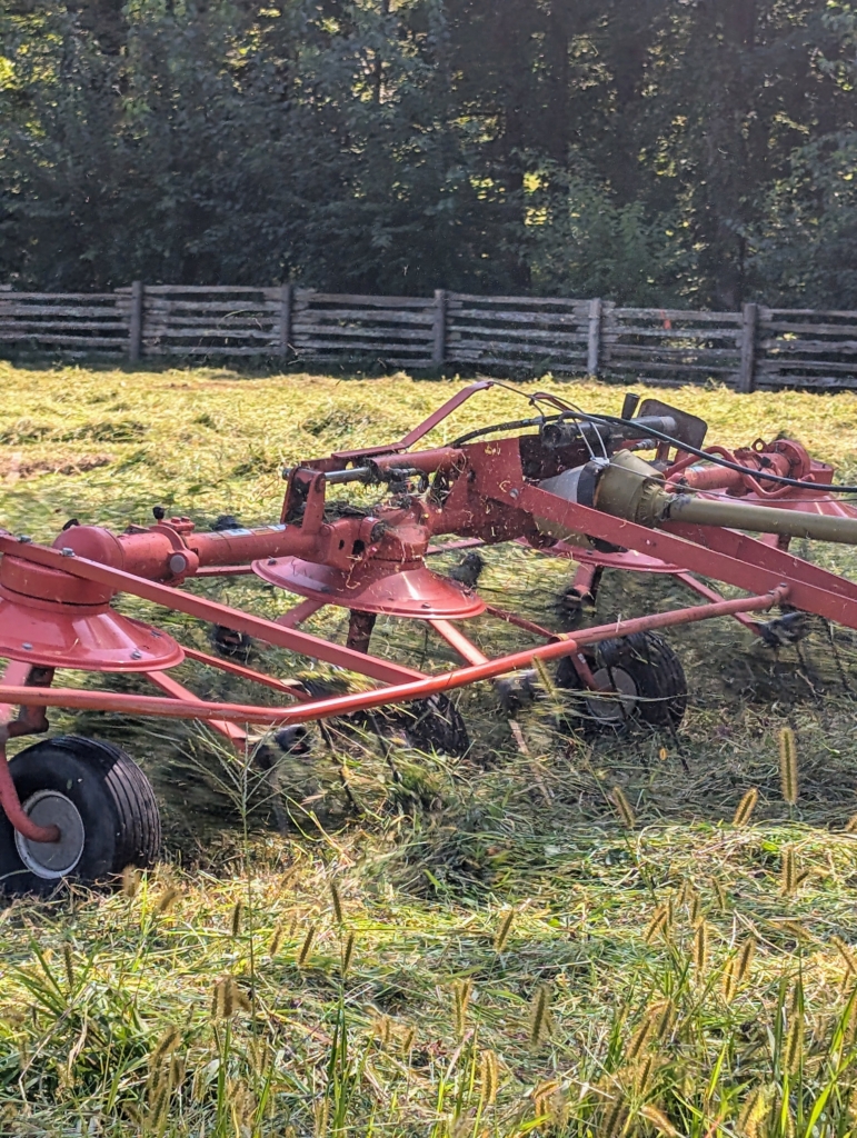 The Martha Stewart Blog : Blog Archive Second Cut of Hay Process Begins ...