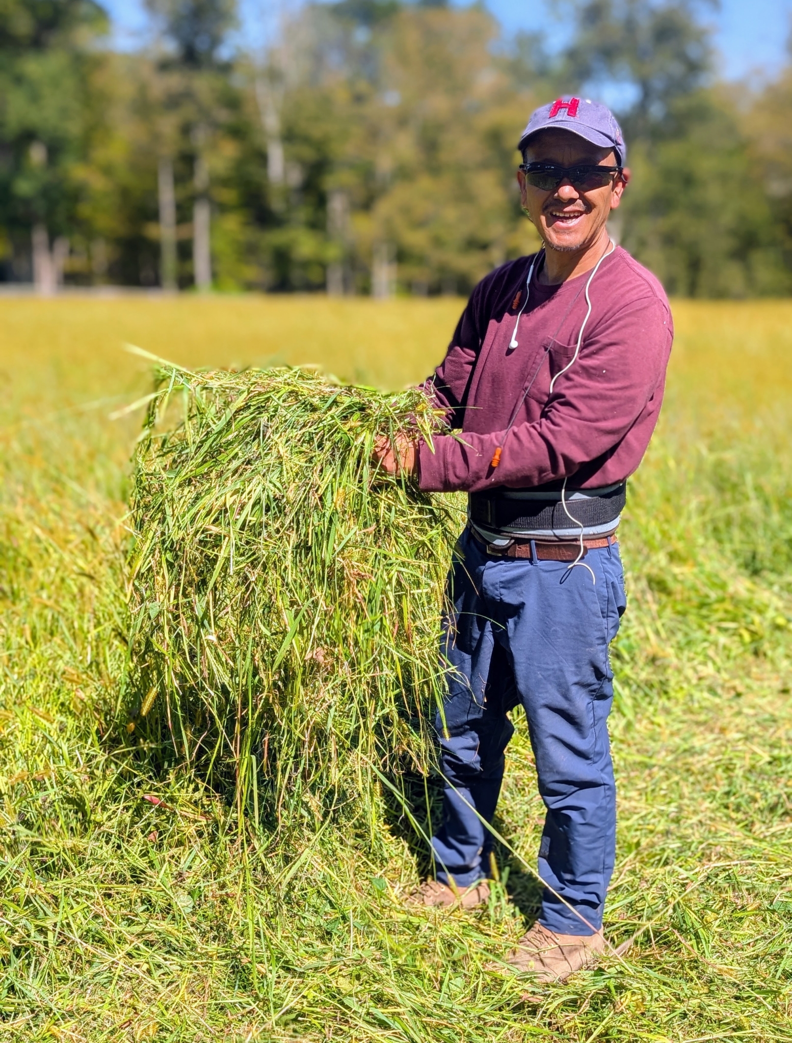 Second Cut of Hay Process Begins - The Martha Stewart Blog