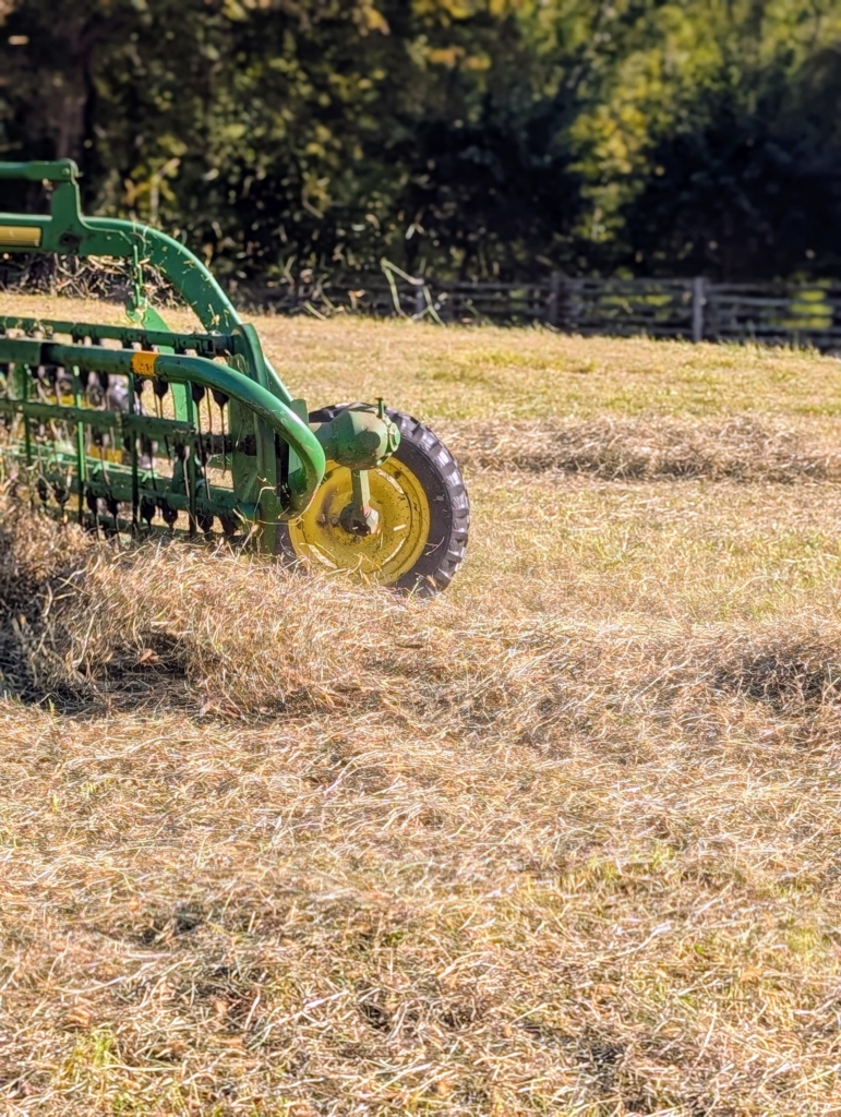 Baling the Second Cut of Hay in Run-In Field - The Martha Stewart Blog