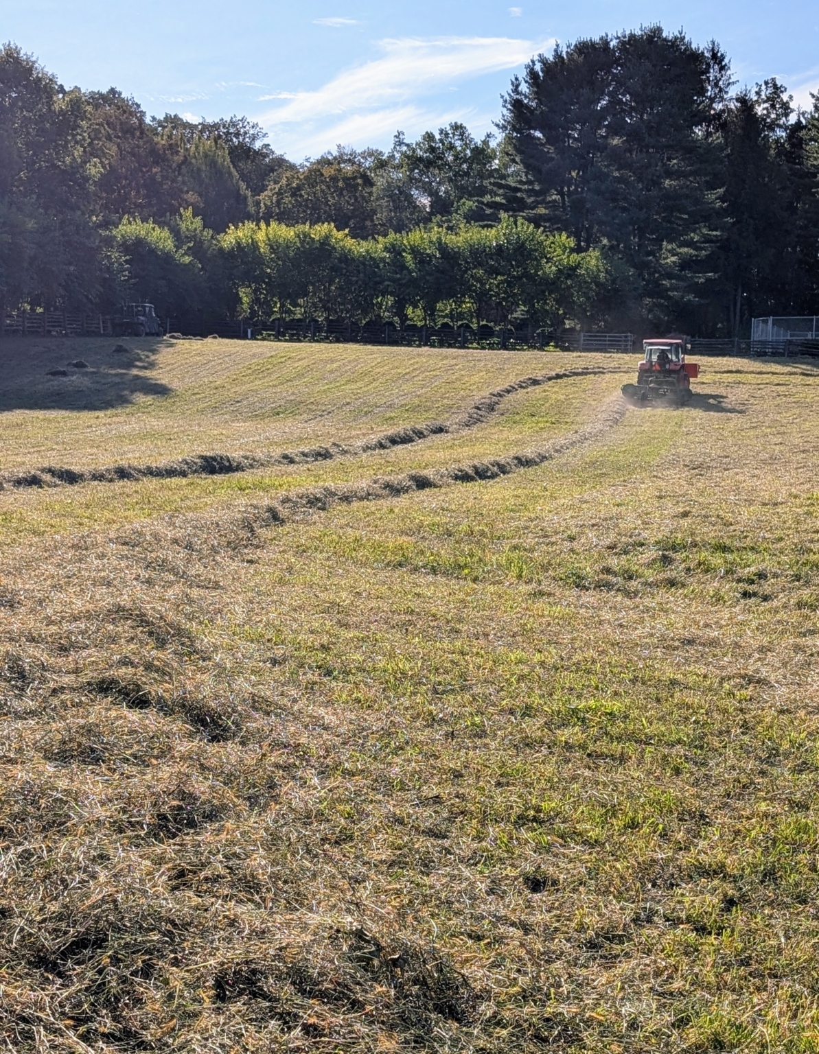 Baling the Second Cut of Hay in Run-In Field - The Martha Stewart Blog
