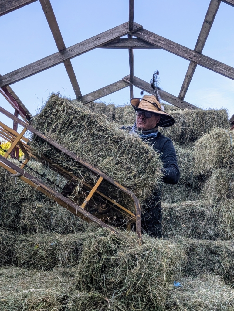 Baling the Second Cut of Hay in Run-In Field - The Martha Stewart Blog