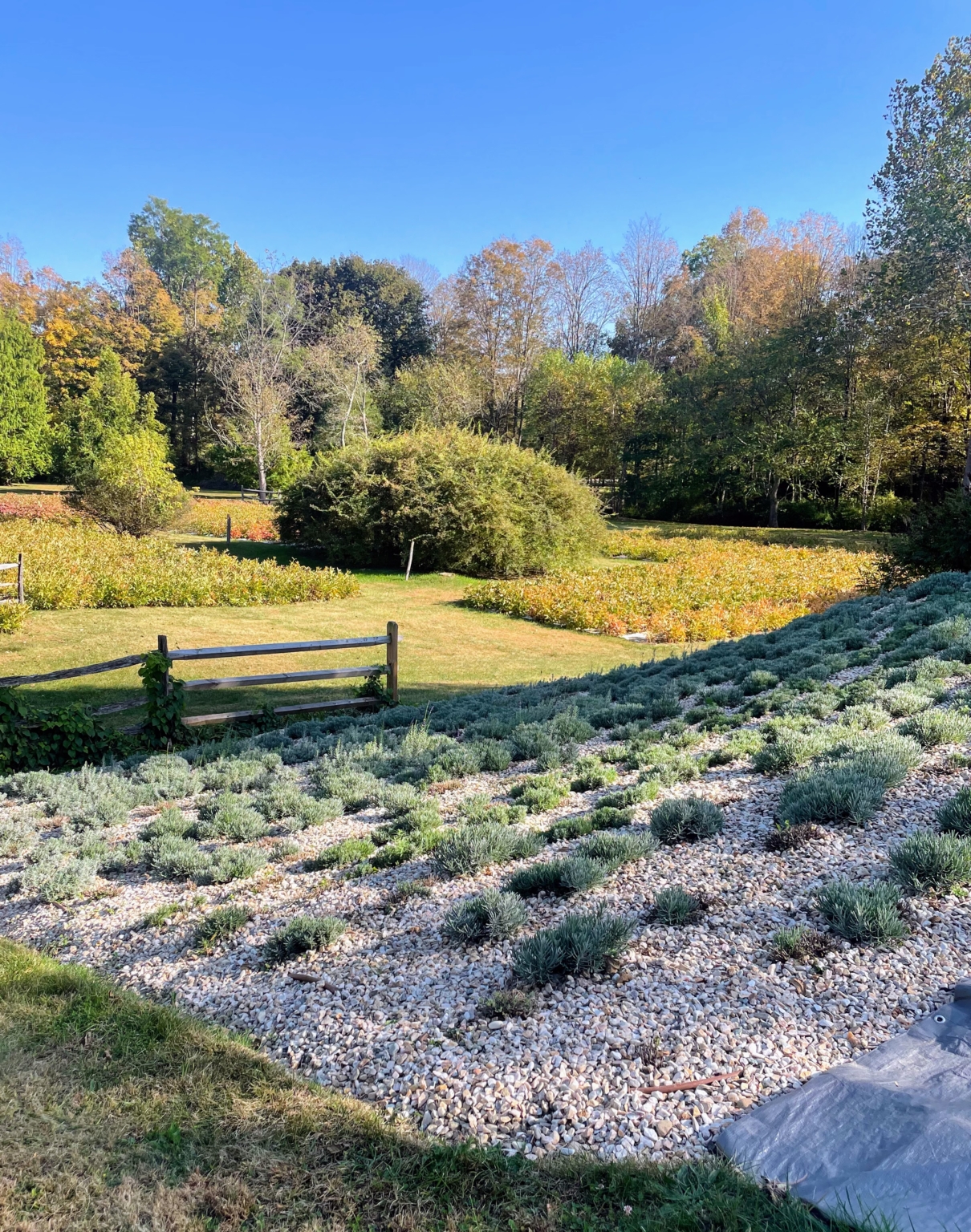 Bear Creek Farm in Stanfordville, New York - The Martha Stewart Blog