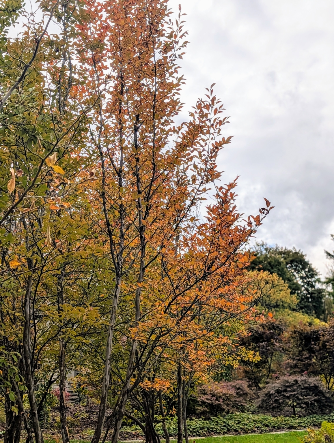 Autumn Colors at My Farm - The Martha Stewart Blog