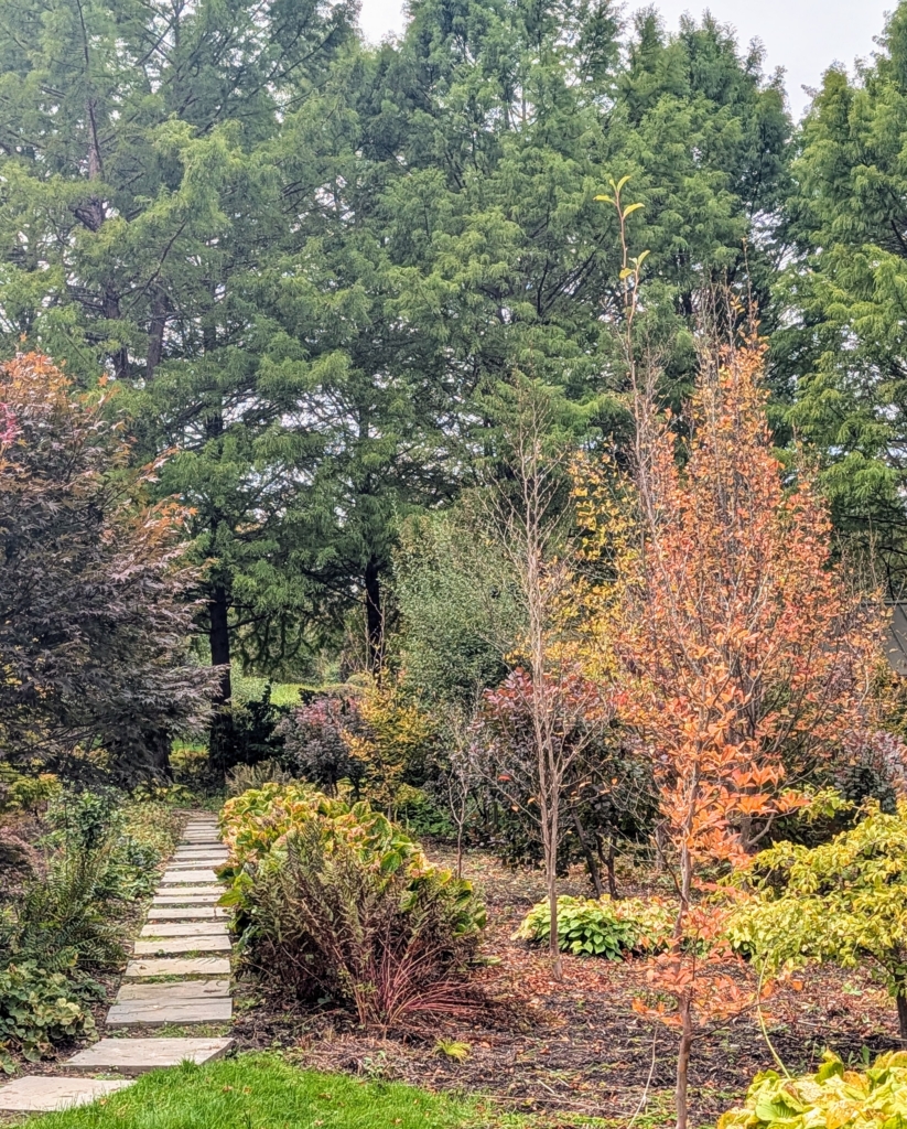 Autumn Colors at My Farm - The Martha Stewart Blog