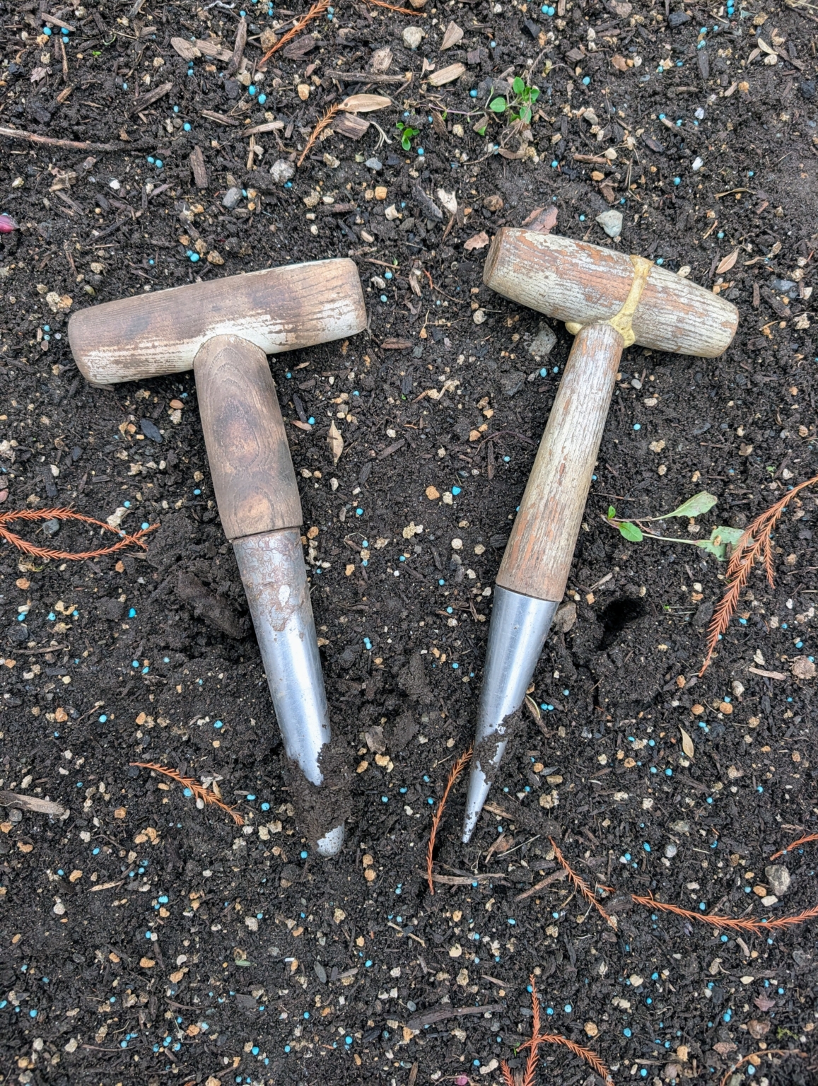 Planting More Spring-Blooming Bulbs - The Martha Stewart Blog