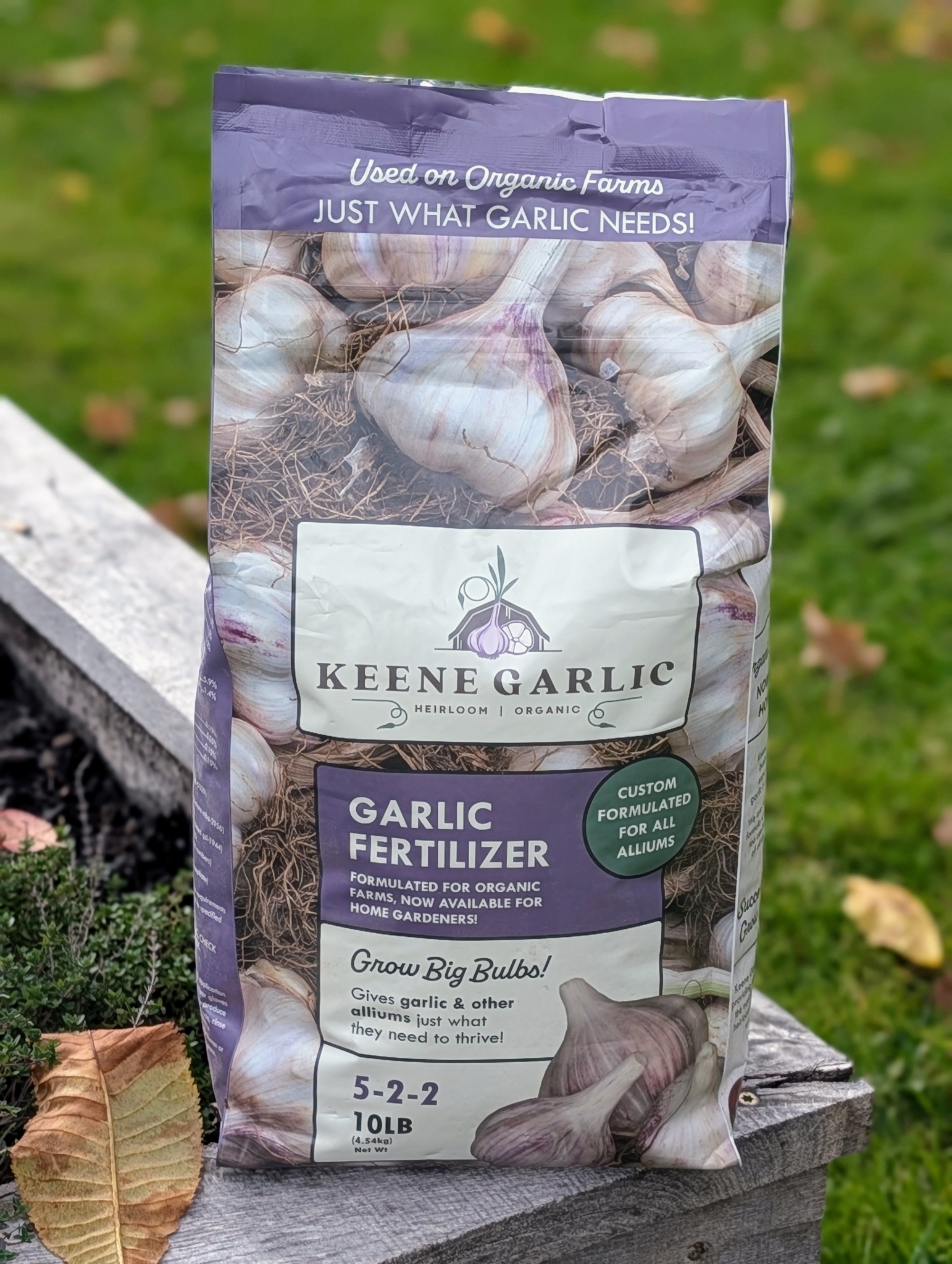 The Garlic is Planted for Next Year - The Martha Stewart Blog