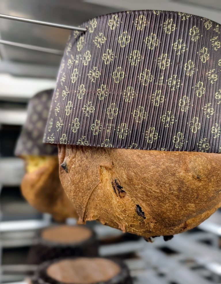Panettone from Fatto a Mano in Westport, Connecticut - The Martha ...