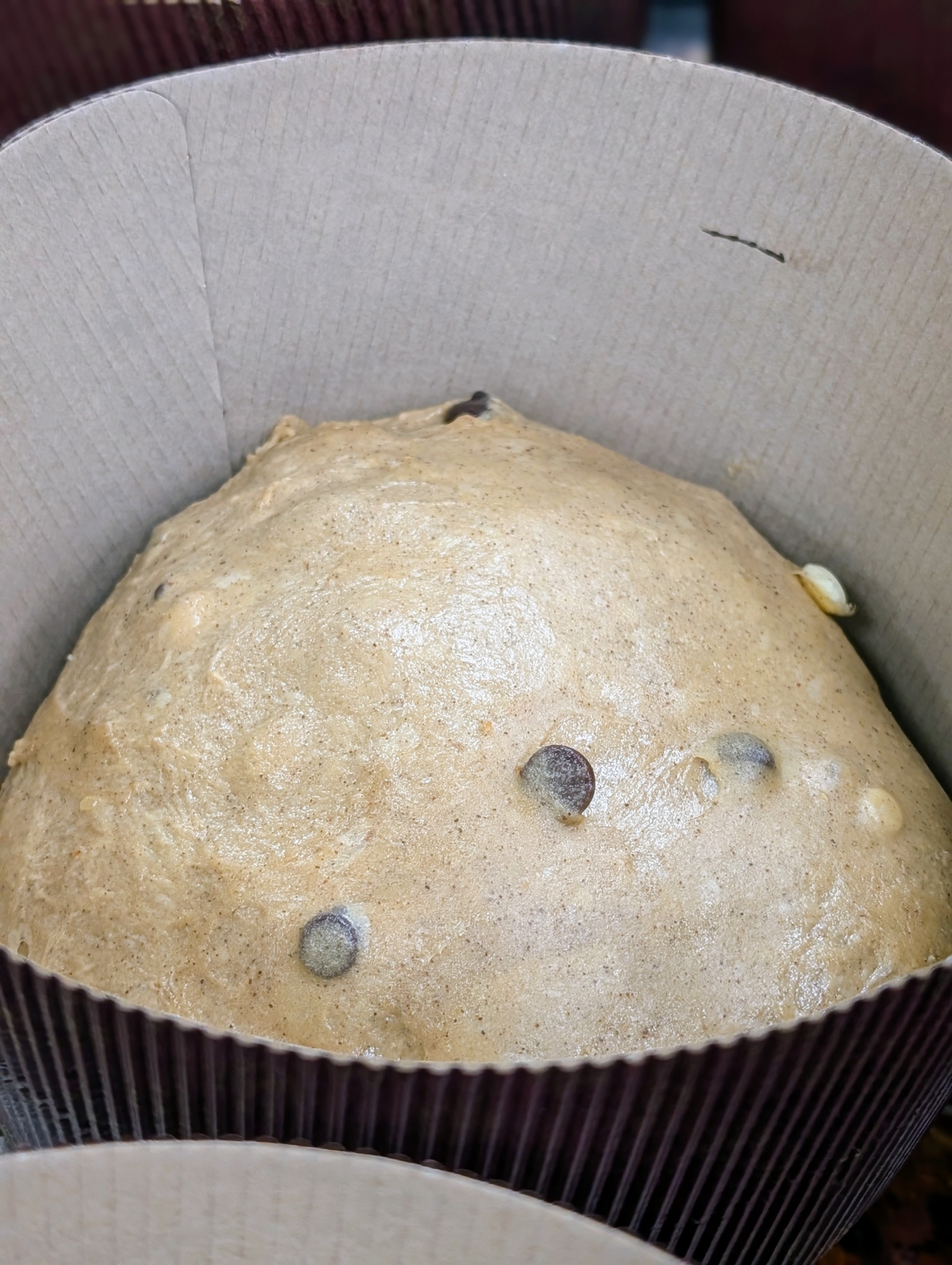 Panettone from Fatto a Mano in Westport, Connecticut - The Martha ...