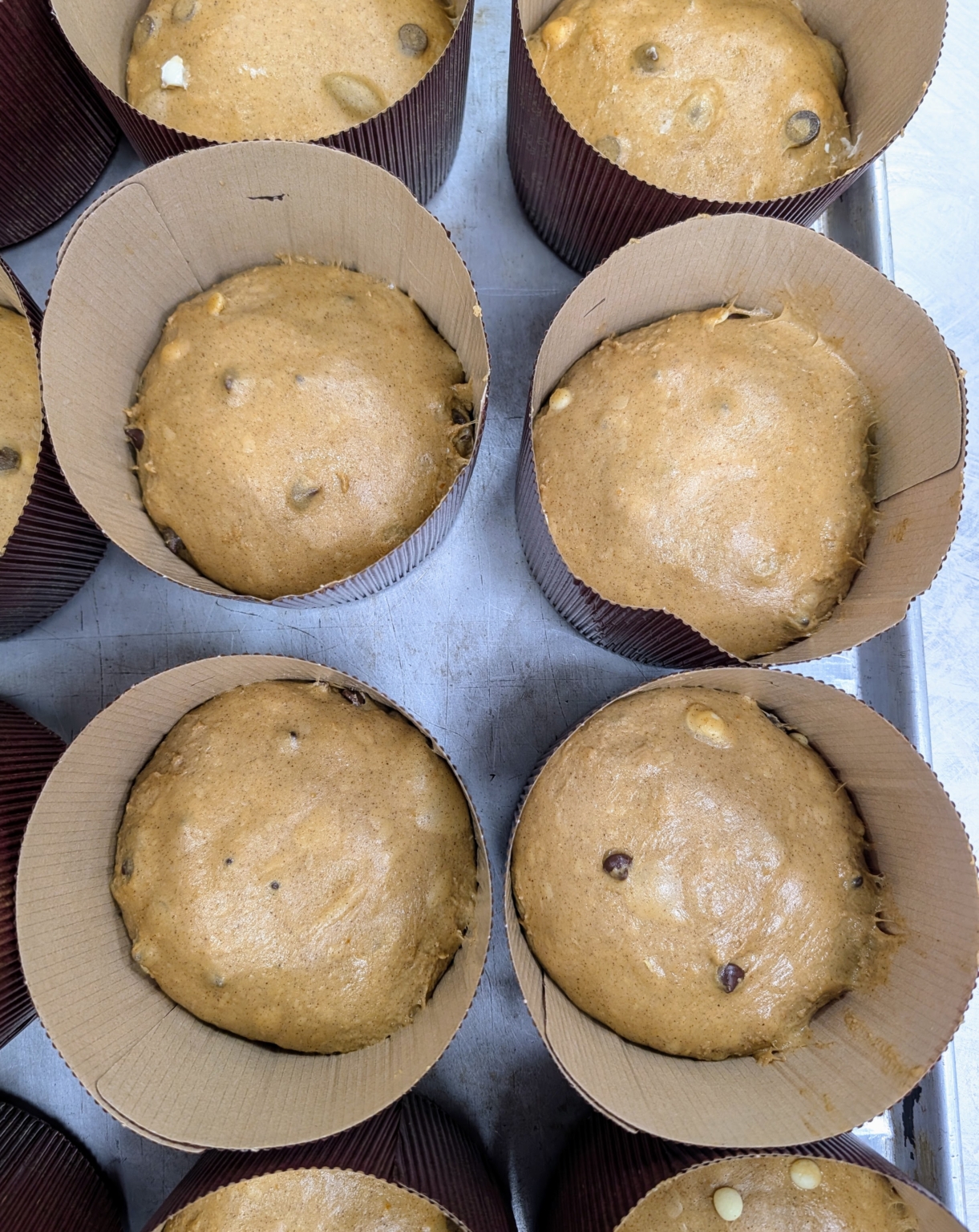 Panettone from Fatto a Mano in Westport, Connecticut - The Martha ...