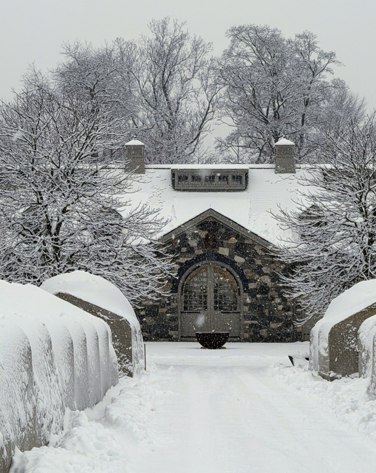 A Snowy January Weekend - The Martha Stewart Blog