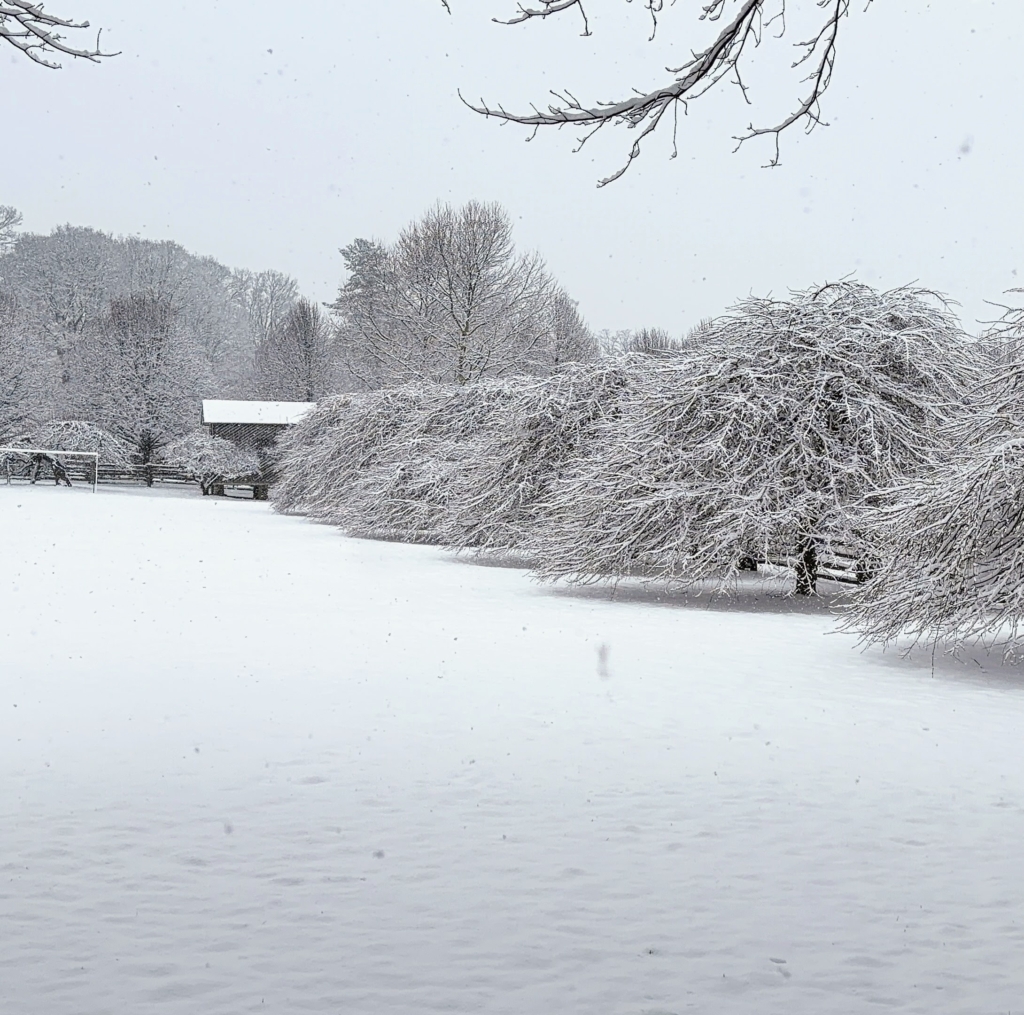 A Snowy January Weekend - The Martha Stewart Blog