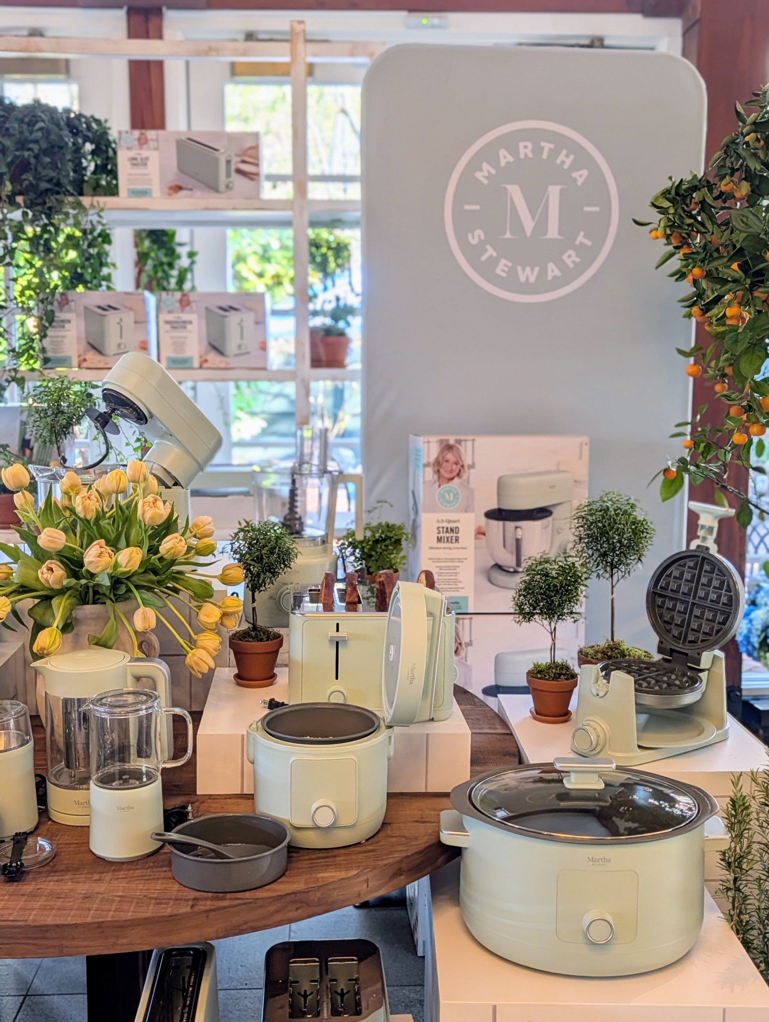Celebrating My Kitchen Electrics Collection - The Martha Stewart Blog