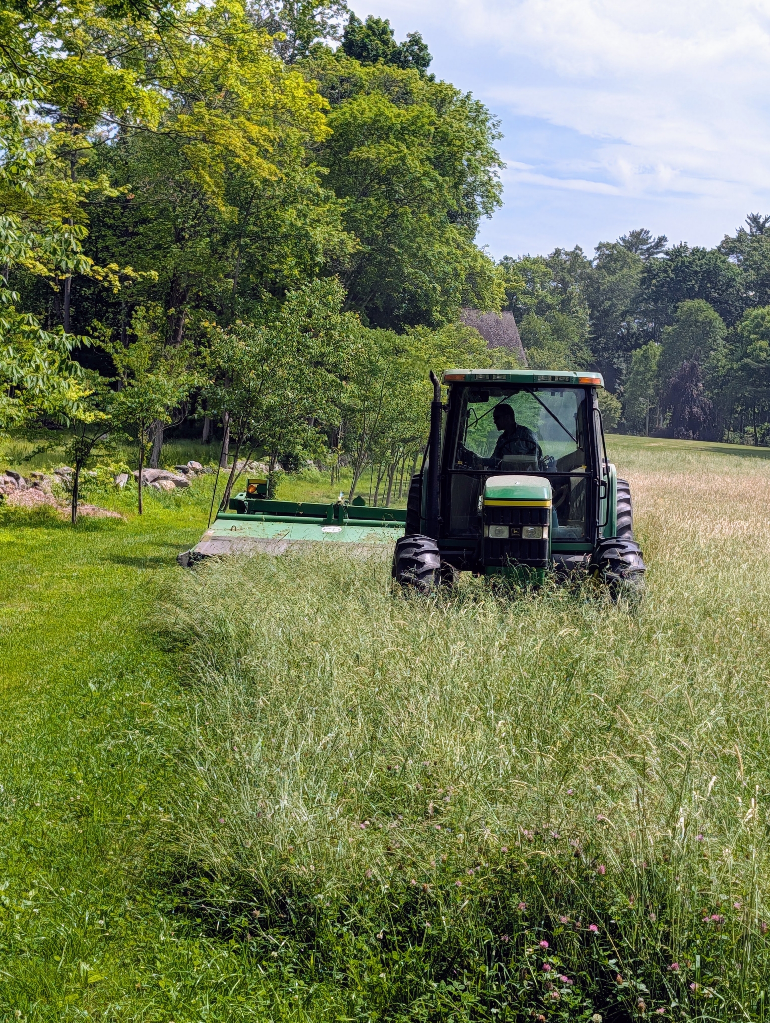 My First Cut of Hay 2026 - The Martha Stewart Blog